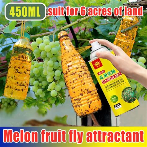 Td Mall Fly Killer Gel Fly Killer Fly Killer Bait Fly Trap Catcher