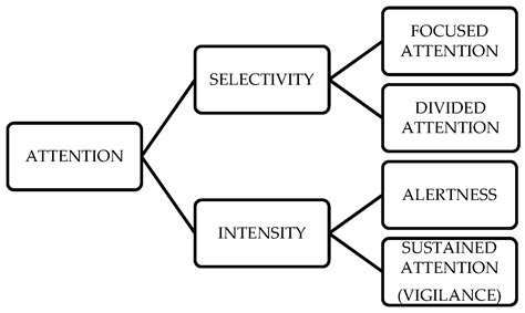 Which Factors Influence Attentional Functions Attention Assessed By Kitap In 105 6 To 10 Year