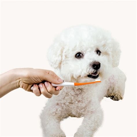 리스펫 강아지 고양이 칫솔 초미세모 덴탈 딥 브러쉬 페오펫몰