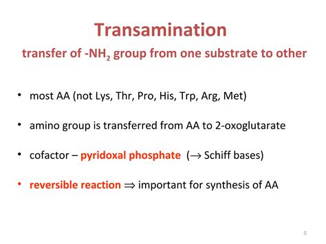 Transdeamination And Deamination Ppt