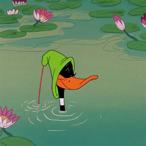 Looney Tunes Gif Gif Abyss