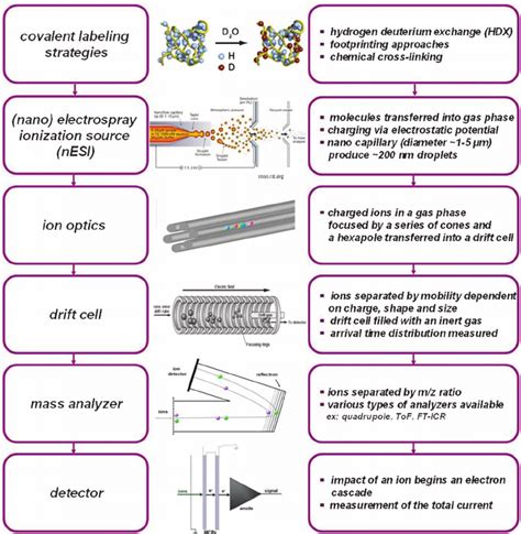 Labelled Diagram Of A Mass Spectrometer At Bruce Brennan Blog