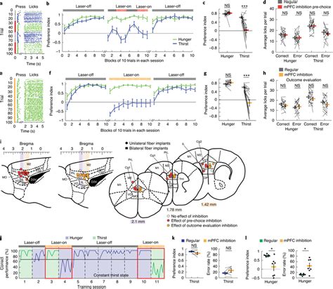 The Mpfc Is Required For Evaluating Action Outcome Relationships To