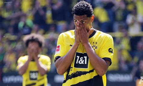 في الجول استراحة حسم الدوري الألماني دورتموند 0 2 ماينز سقوط