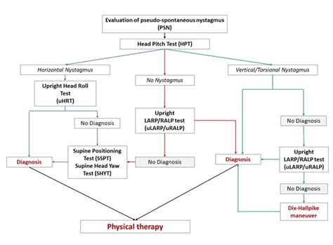 Minimum Stimulus Strategy In The Diagnosis Of Bppv Interview 28622