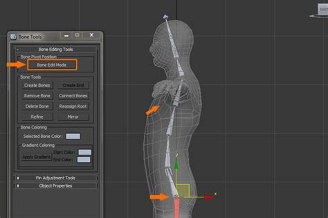 Complete Human Character Rig In D Studio Max Part