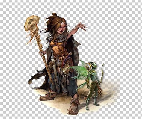 Dungeons And Dragons Pathfinder Roleplaying Game D20 System Wizard