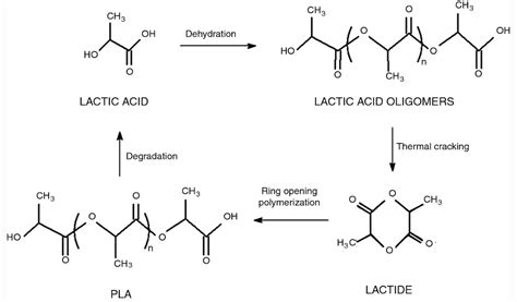 Pla Polylactic Acid Definition Applications And Different Types