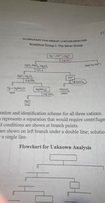 FLOWCHART FOR GROUP I CATIONANALYSTS Analytical Group Chegg