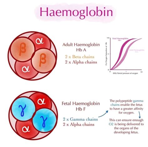 Know Your Genotype On Linkedin Understandingsicklecelldisease