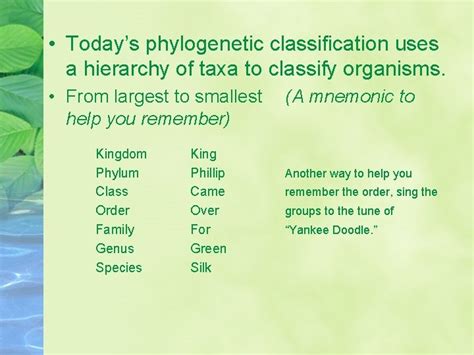 Organizing Lifes Diversity Classification The Grouping Of Objects