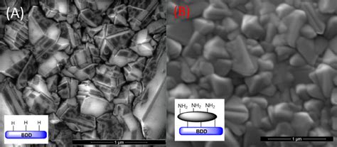 Sem Microimages Obtained From The Surfaces Of A Hydrogen Terminated