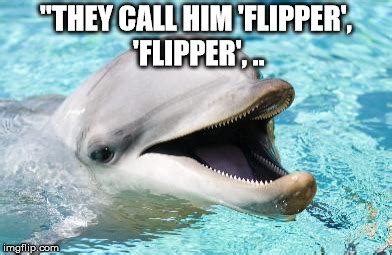 Memes De Flipper