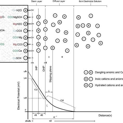 Schematic Model Of Electrostatic Charge Distribution Around The Charged