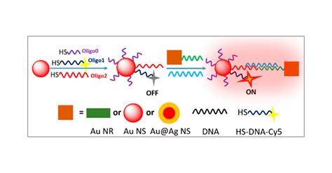 Plasmon Enhanced Fluorescence In Coupled Nanostructures And Applications In Dna Detection Acs