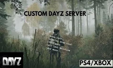 Create Dayz Server With Mods And Scripts For You And Redm Server By