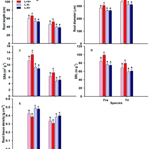 A Root Length Cm B Root Diameter μm C Specific Root Area