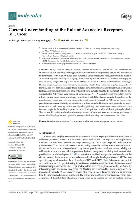 Pdf Current Understanding Of The Role Of Adenosine Receptors In Cancer