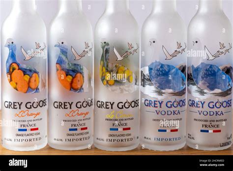 Grey Goose Bottle Sizes