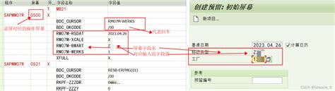 Sap 批量数据维护工具总结（bdccattlsmw）sap Catt Csdn博客