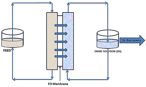 Schematic Diagram Of Forward Osmosis Download Scientific Diagram