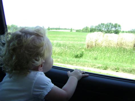 Dsc00515 Andrew Bardwell Flickr