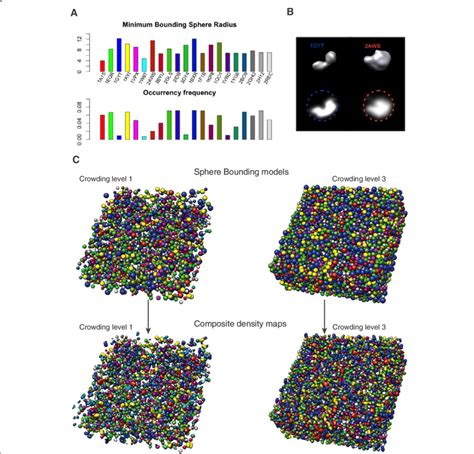framework for realistically simulating cryo electron tomograms of