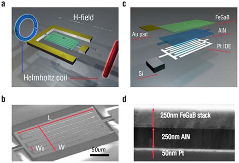 A Schematic Of The Nems Magnetic Field Sensor The Dc Magnetic Download Scientific Diagram