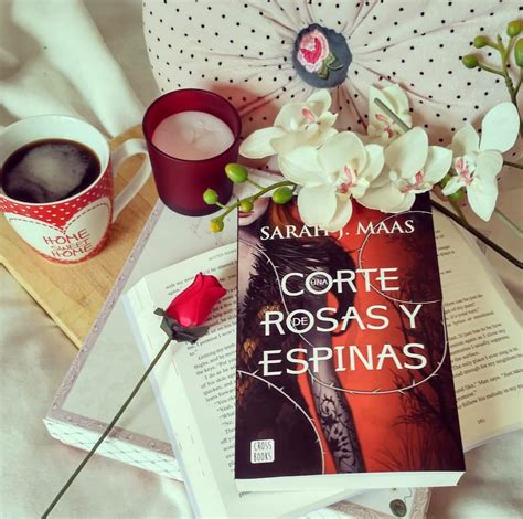Mati Cazalibros Una Corte De Rosas Y Espinas Reseña
