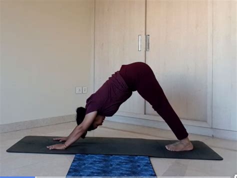 Yoga Session सूर्य नमस्कार से करें दिन की शुरुआत सेहत से जुड़ी कई