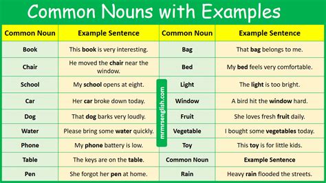 Common Noun Examples 10