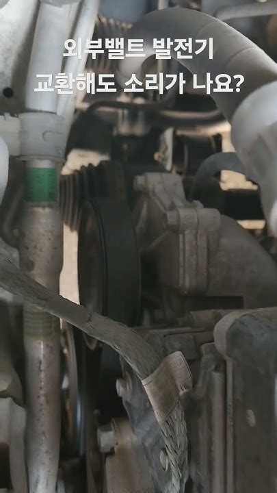 올뉴카니발 밸트소음발전기 교환밸트세트는교환후5만키로 타심워터펌프가의심감올뉴카니발 Youtube