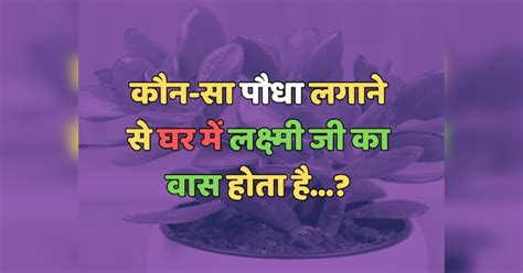Trending Quiz कौन सा पौधा लगाने से घर में लक्ष्मी जी का वास होता है