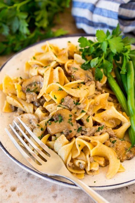 Ground Beef Stroganoff Dinner At The Zoo
