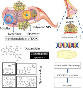 Drug Delivery And Translational Research X Mol