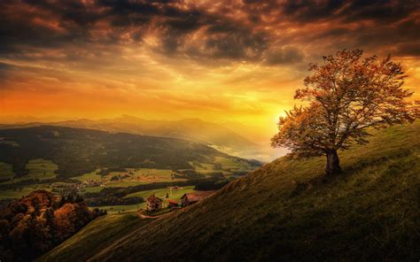 Wallpaper Sunlight Trees Landscape Sunset Hill Nature Grass