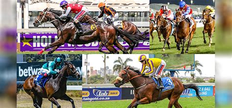Hippisme Six Chevaux De Joey Foo Kune Débarqueront à Maurice Très Prochainement Défi Sport