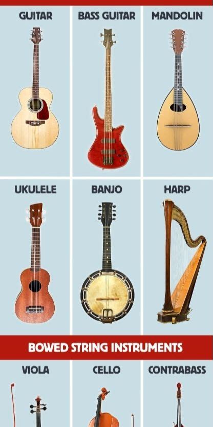 A Guide To Different Types Of Stringed Musical Instruments Electric
