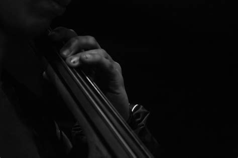 Premium Photo Close Up Of Man Playing String Instrument Against Black