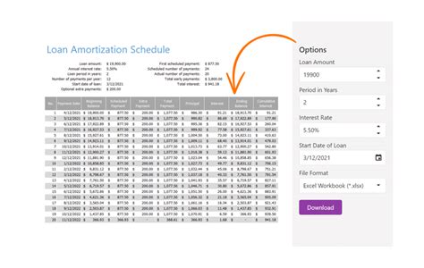 NET Excel Spreadsheet API Library C VB NET DevExpress