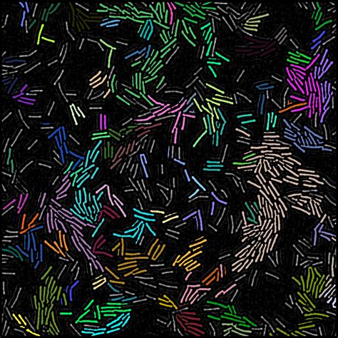 Learning The Complete Dynamical Phase Diagram Of Bacterial Swarming