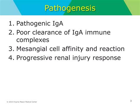 Iga Nephropathy Pptx