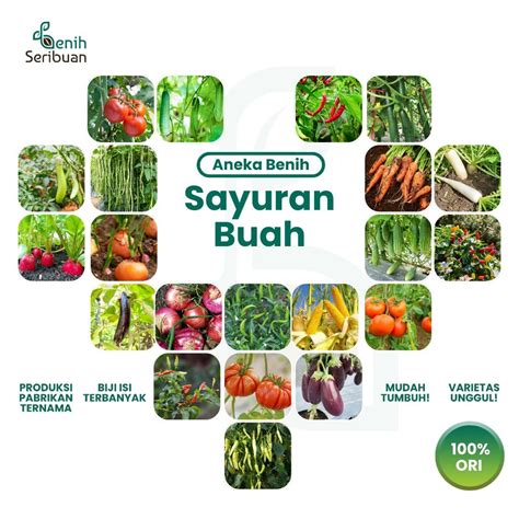 Jual Benih Seribuan Aneka Benih Sayuran Buah Varian Lengkap Shopee Indonesia