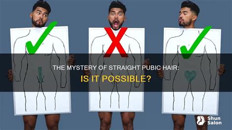 The Mystery Of Straight Pubic Hair Is It Possible Shunsalon
