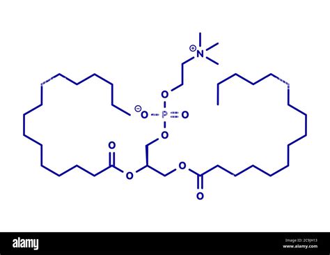 Pulmonary Surfactant Molecule Chemical Structure Of