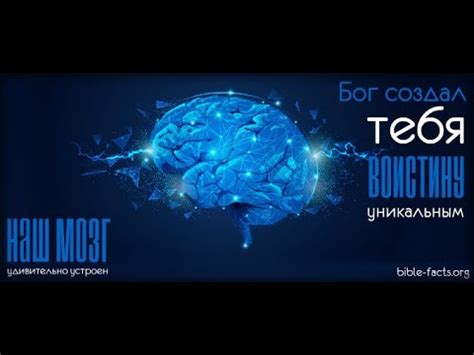 Кэролайн Лиф – Включите свой мозг - YouTube