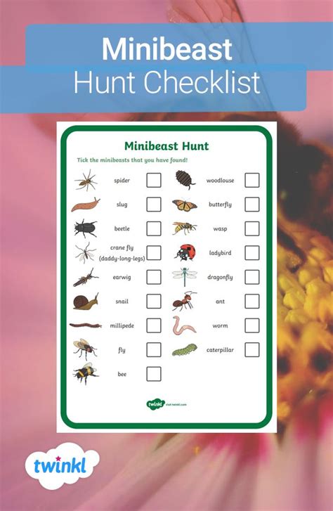 Eyfs Minibeast Hunt Checklist Minibeasts Minibeasts Eyfs Eyfs