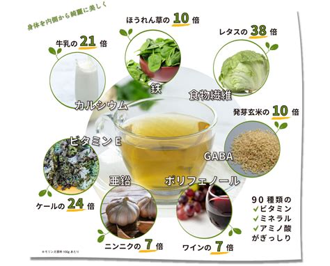 奇跡の木 里山モリンガティー 一般社団法人キラ