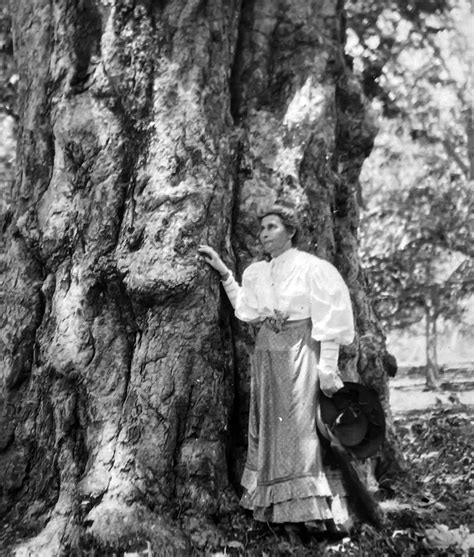 Sara Allen Plummer Lemmon California Academy Of Sciences