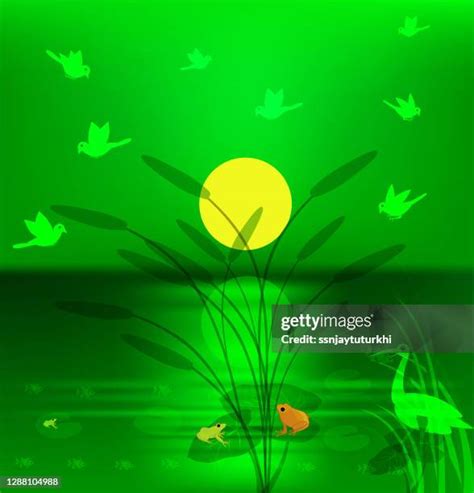 Lake Countryside Cartoon High Res Illustrations Getty Images
